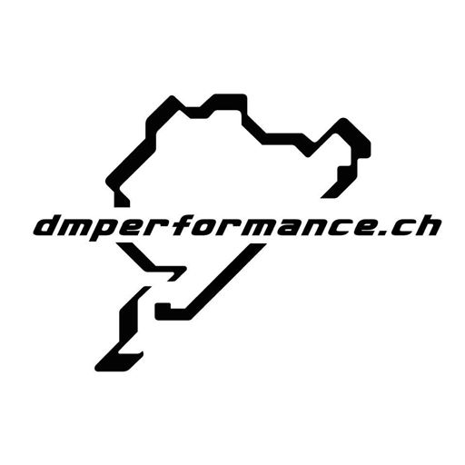 DM Performance - DM PERFORMANCE